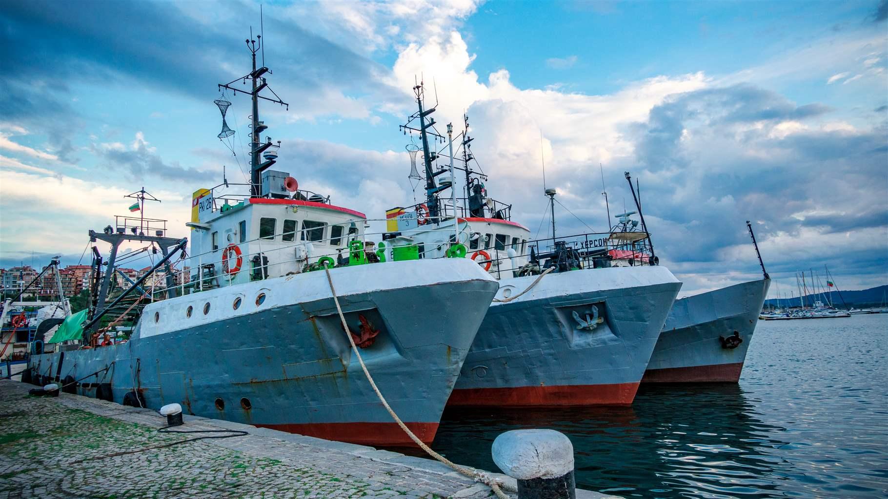 New Tool Helps Evaluate Risk of Illegally-Caught Fish Passing Through ...