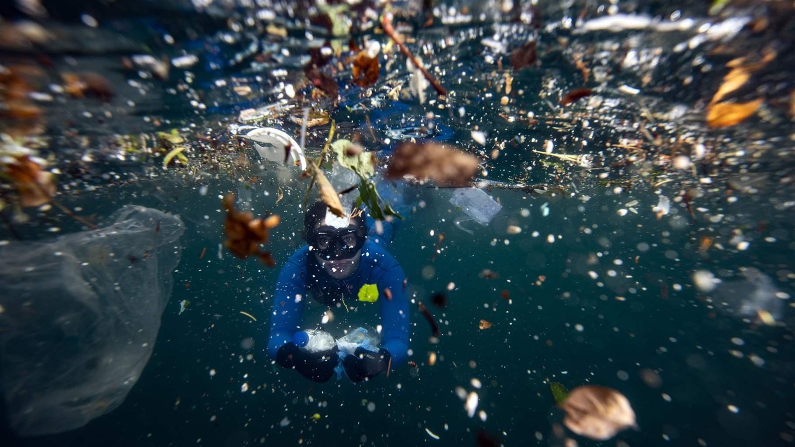 Solving Ocean Plastic Pollution Won't Be Easy, but We Have No Choice ...