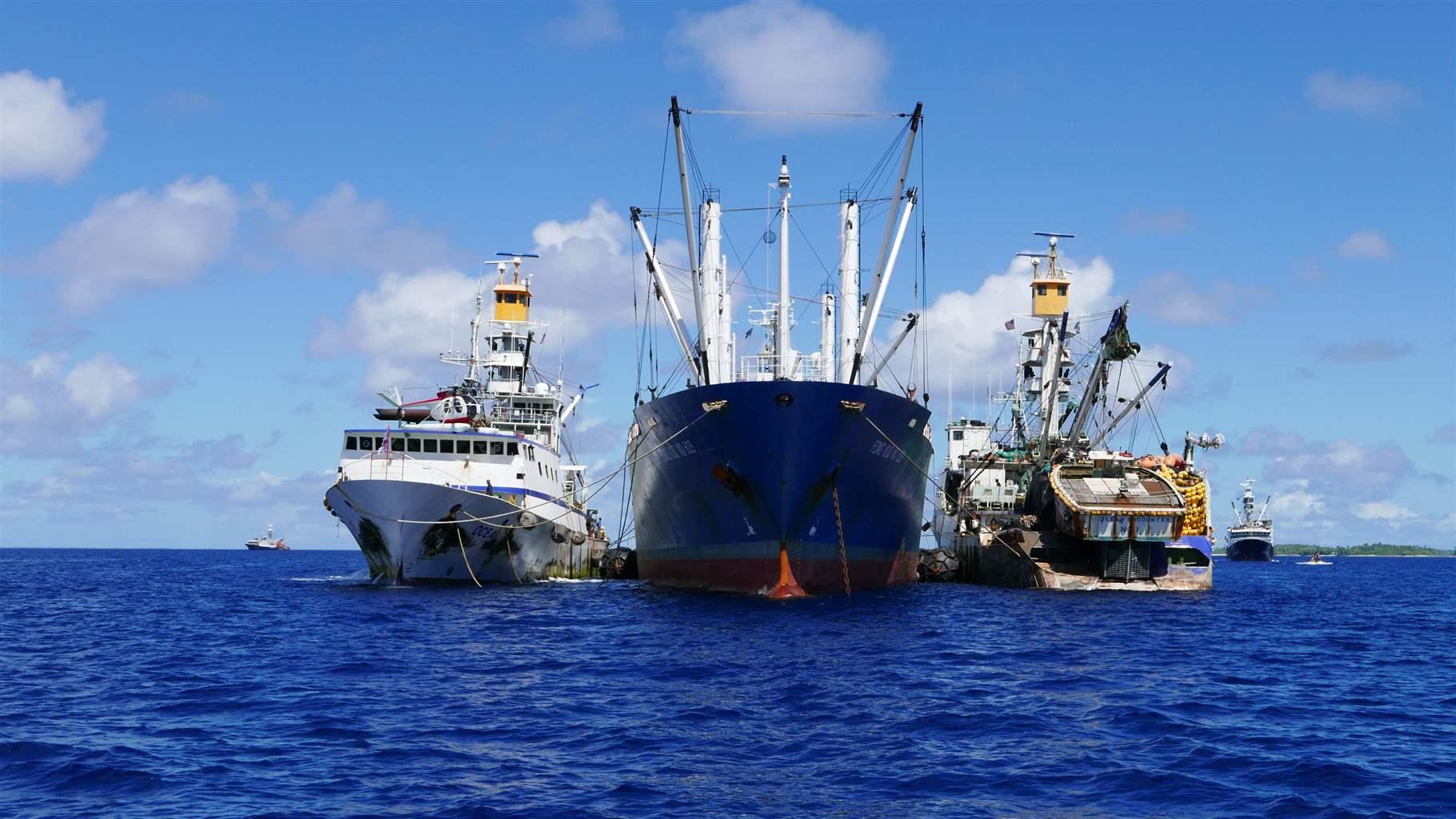 Resolution to Define Industrial Fishing Closes Loophole in Marine ...