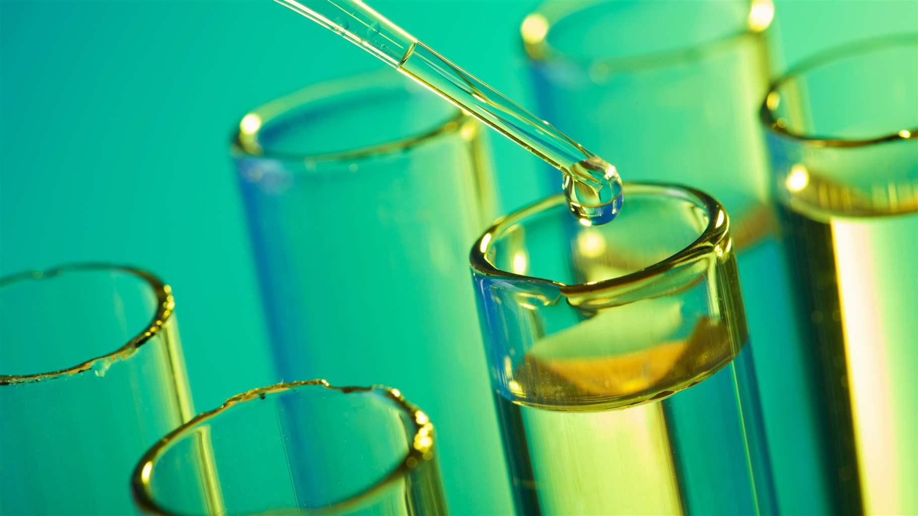 SPARK Receives New Data from Merck and Kyorin | The Pew Charitable Trusts