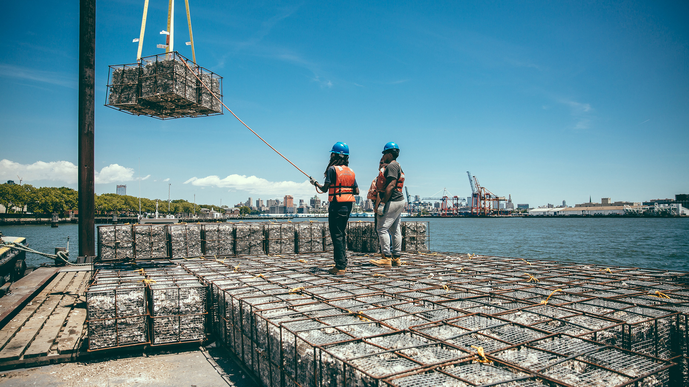 Oyster Reef Restoration in New York Relies on Key Ingredient | The Pew ...