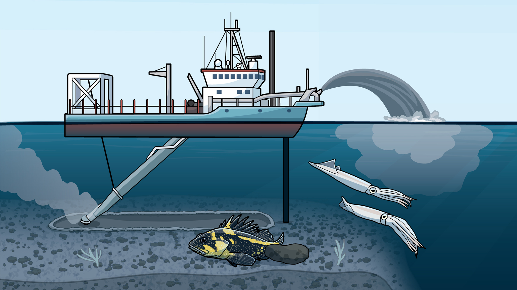 Proactive Limits on Seabed Mining Would Safeguard West Coast Fisheries ...