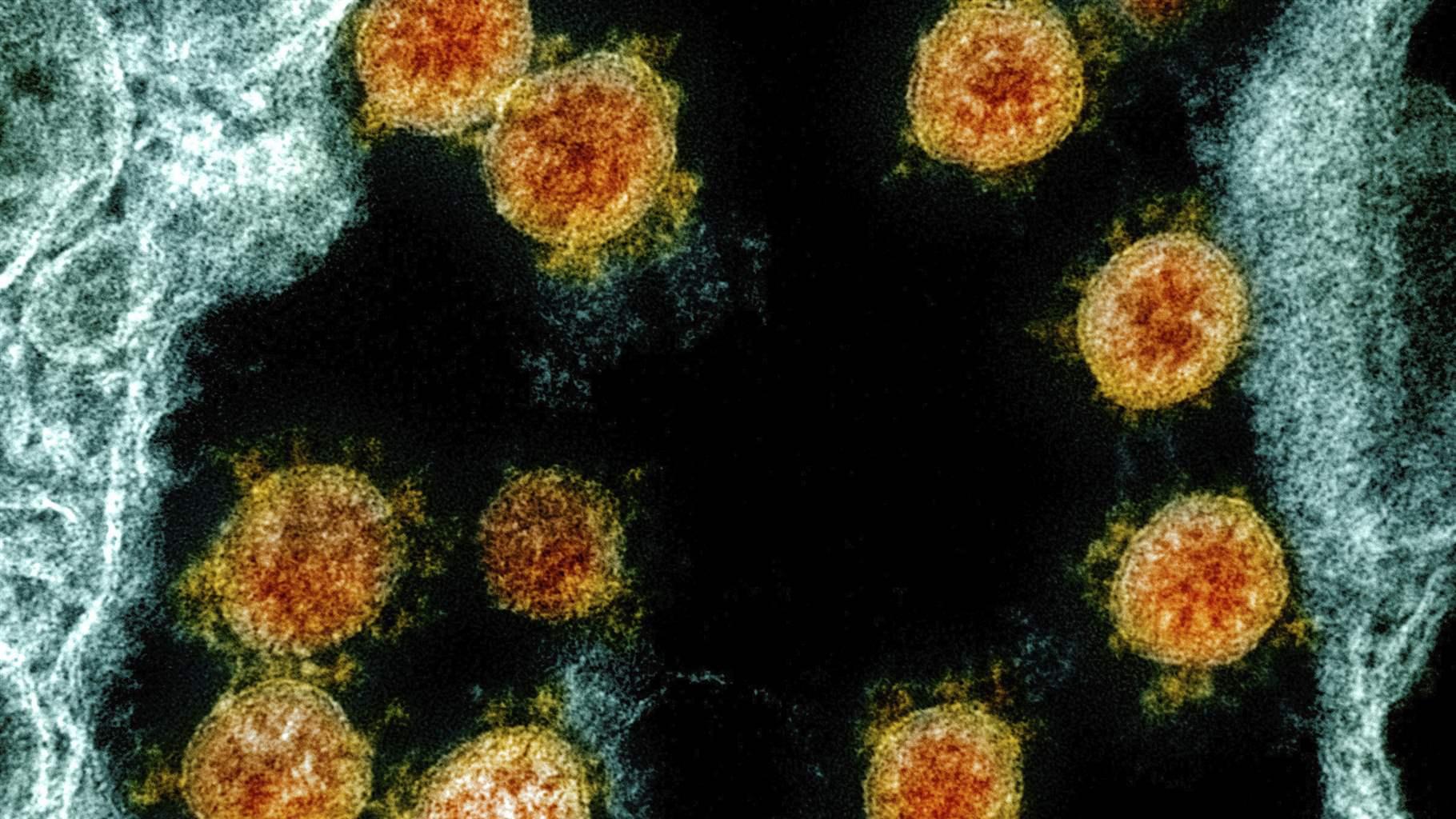 How Antibiotic Stewardship Programs Play a Vital Role During Public ...