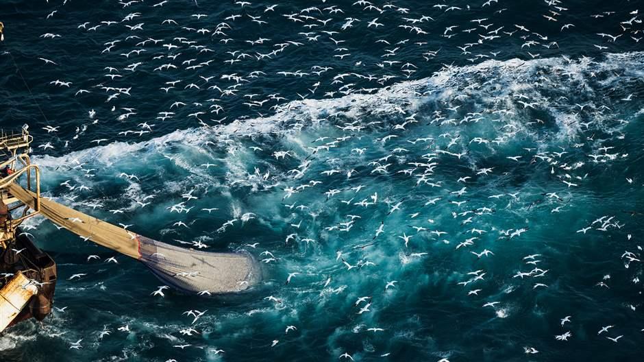 Lessons From Implementation of the EU's Common Fisheries Policy | The ...