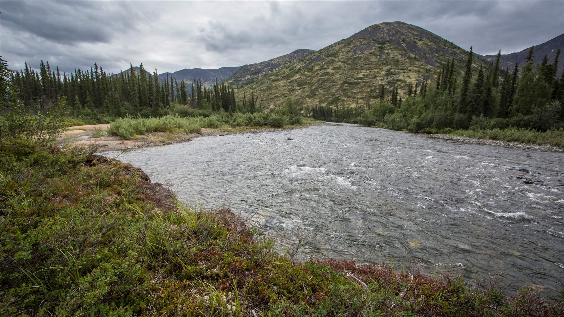 Alaska's Central Yukon Region at Risk | The Pew Charitable Trusts