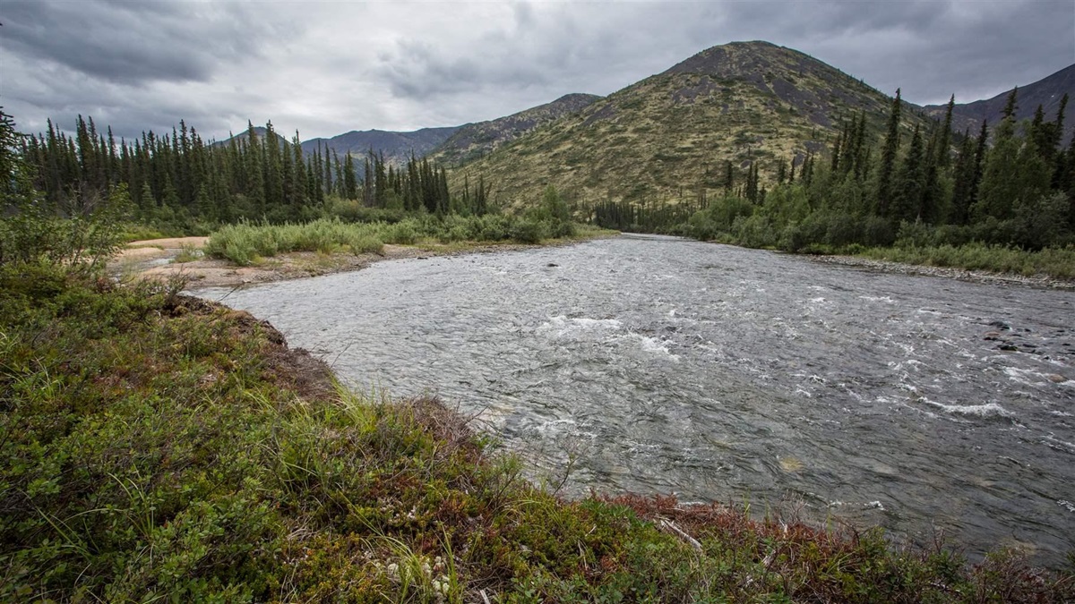 Alaska's Central Yukon Region at Risk | The Pew Charitable Trusts