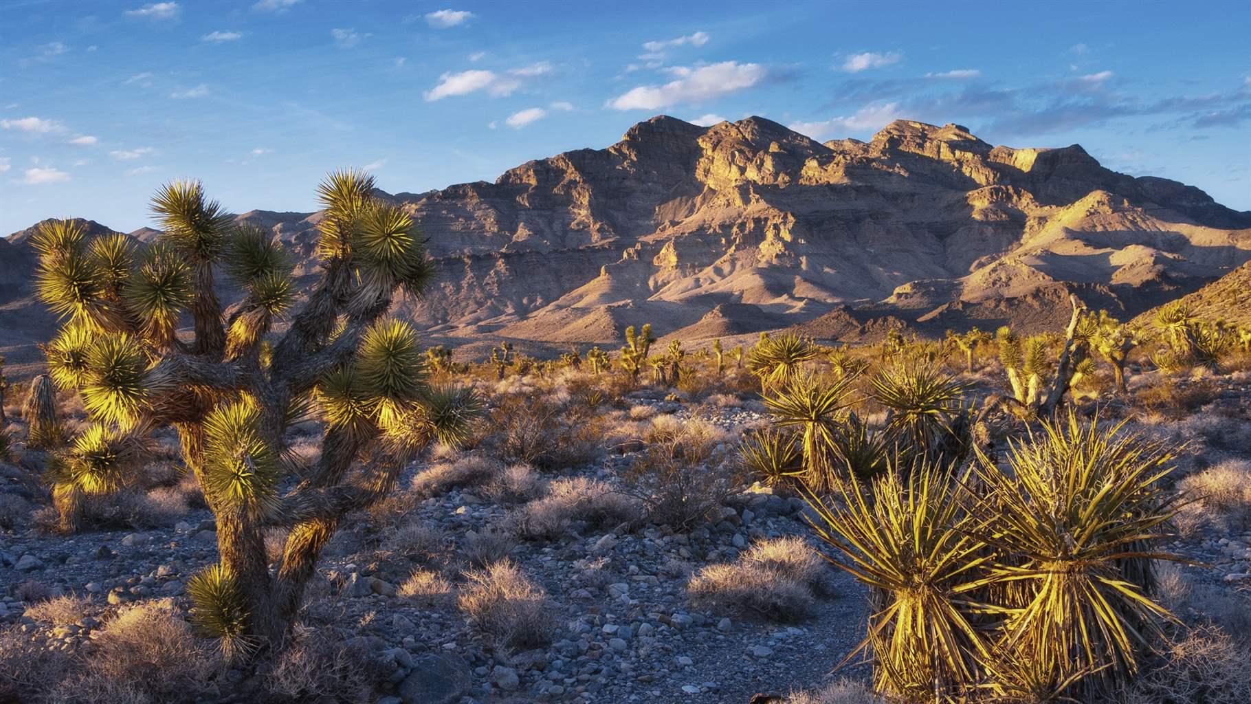 Huge Conservation Bill Would Protect Nearly 2 Million Acres in Nevada ...