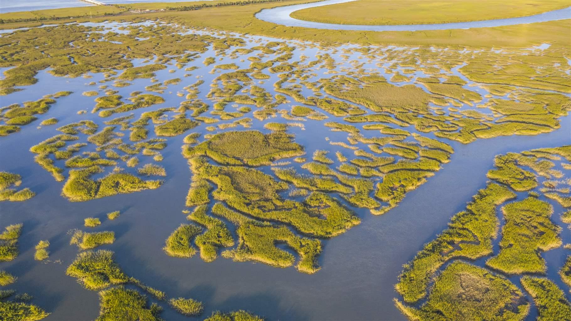 Along Southeast Coast, Plan to Protect 1 Million Acres of Salt Marsh ...