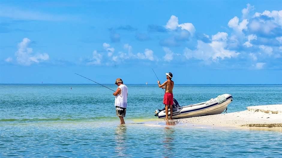 National Estuary System Helps Power Local Economies, Study Finds | The ...