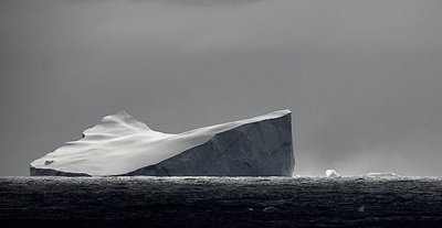 Antarctica's Tiny Giants: Photos From a Creature-Filled Krill ...