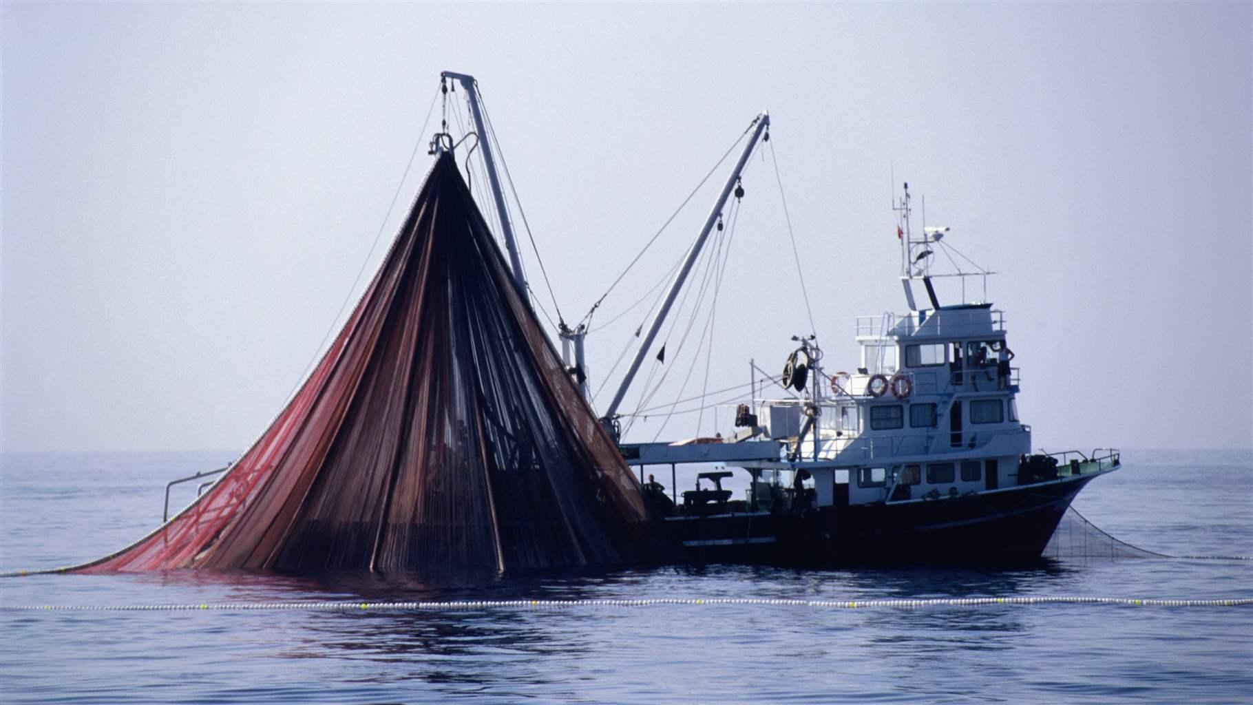 Eastern Pacific Fisheries Body Must Work Through Impasse on Tropical ...