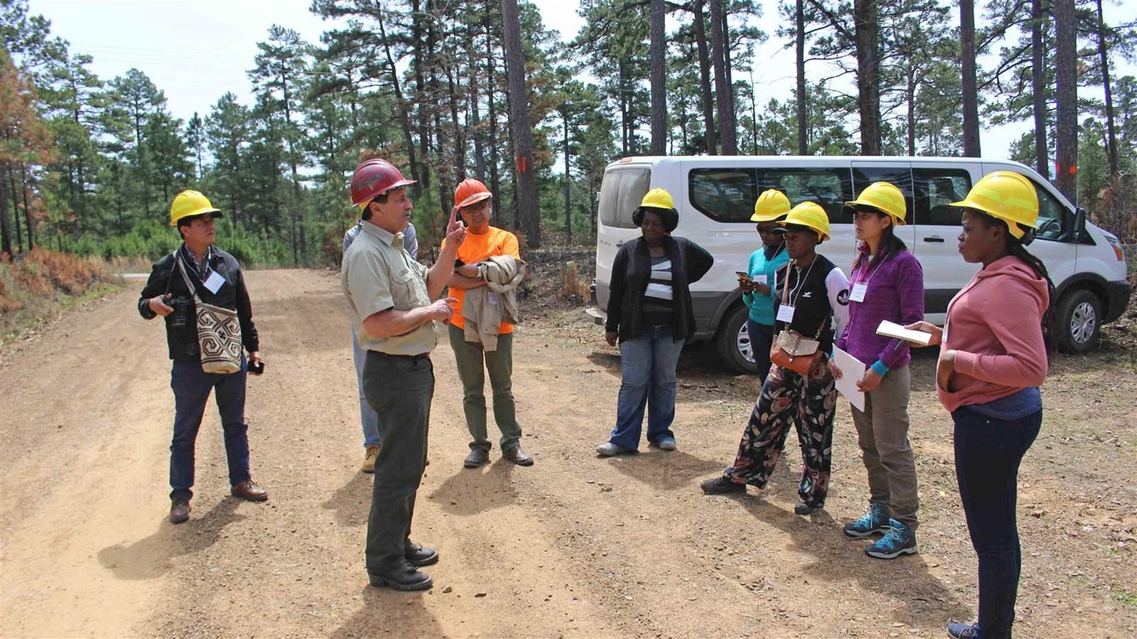 Forest Service Should Update Old Management Plans to Reflect Modern ...