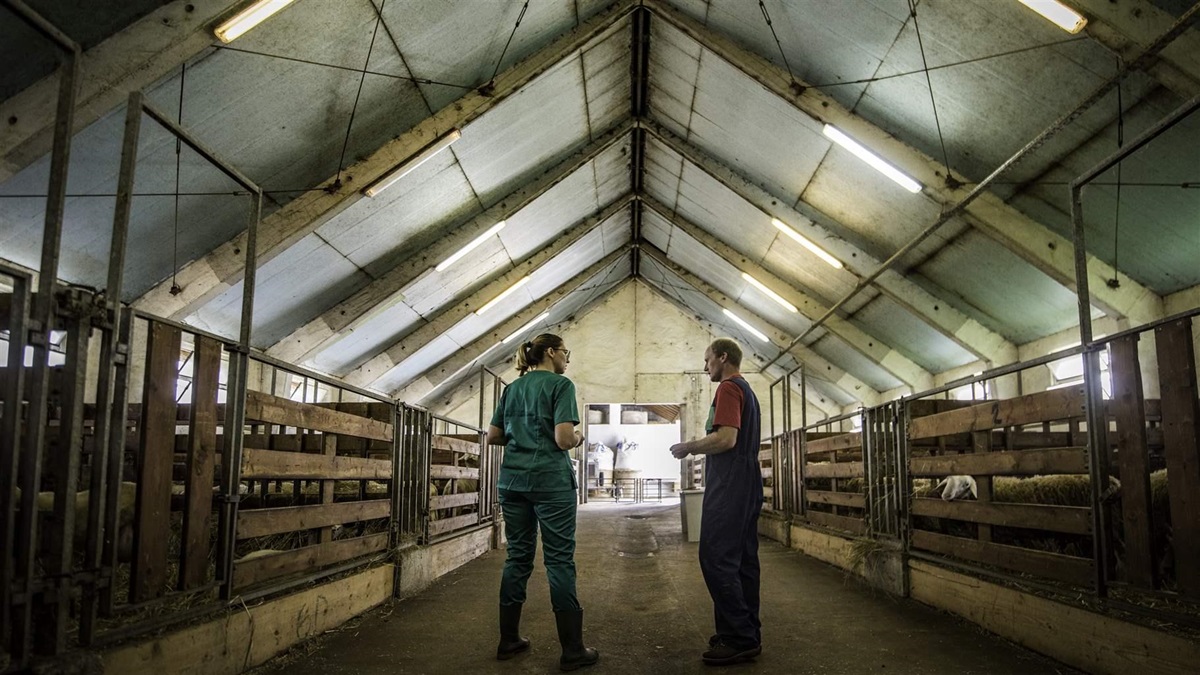 FDA Will Require Veterinary Oversight for All Animal Antibiotics ...
