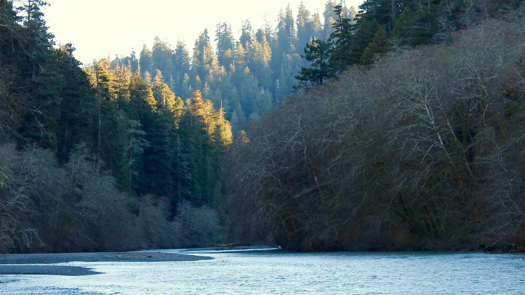 California: The State of Western Rivers | The Pew Charitable Trusts