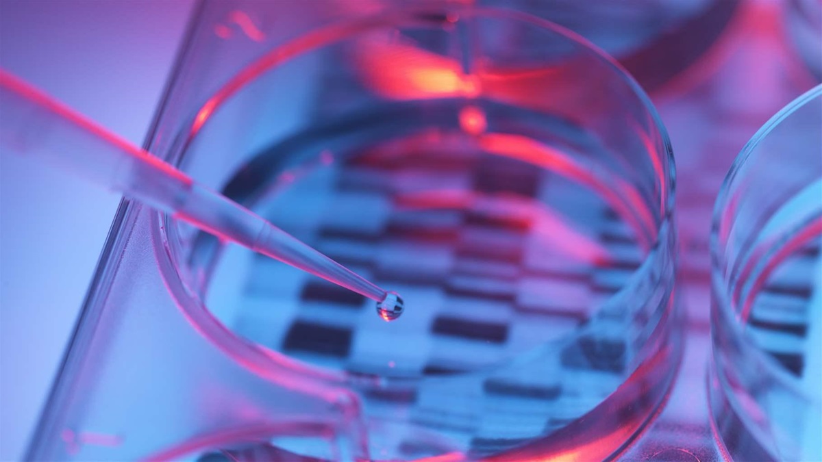 Sampling Ocean Waters for Species' DNA Shows Promise in Ecosystem ...