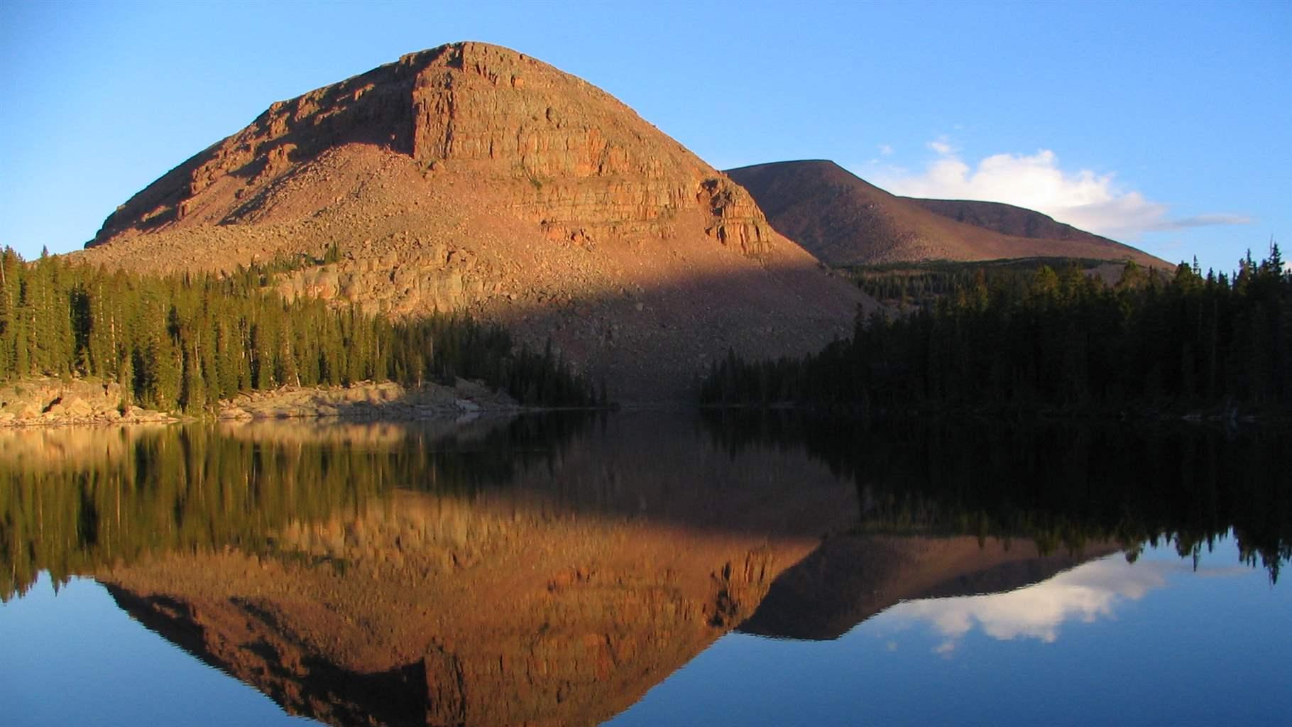 New Research Identifies Ecologically Important Forest Lands in ...