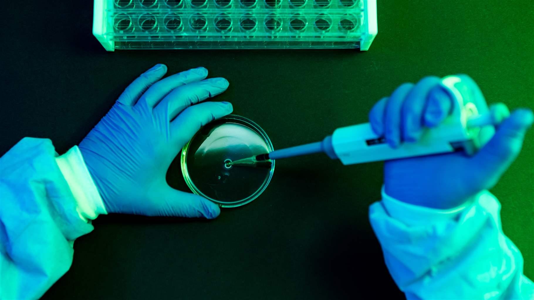 What It Means to Be Black in Science: Pew Scholars' Experiences | The ...