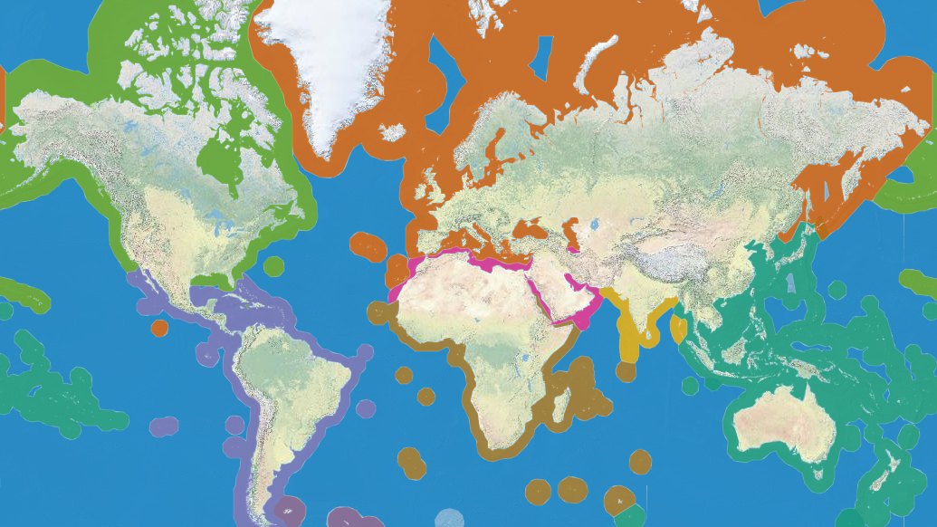 Most Long-Distance Fishing in Foreign Waters Dominated by Only a Few ...