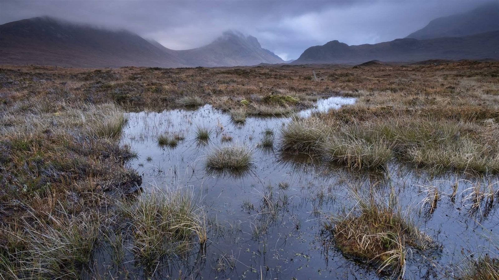 Peatlands, Which Can Help Fight Against Climate Change, Face Many ...