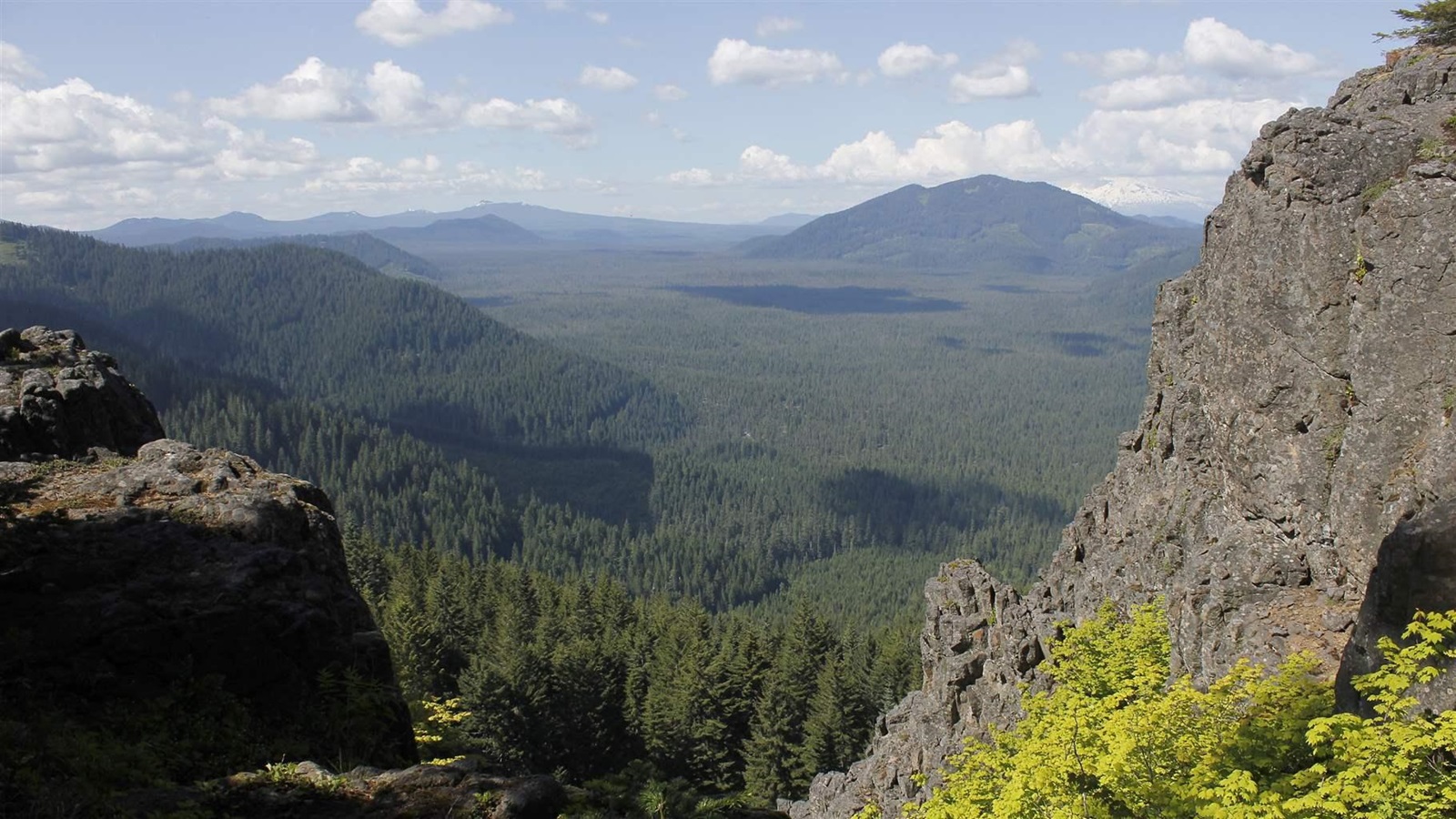 Conservation Opportunities Identified in 17 Pacific Northwest National ...