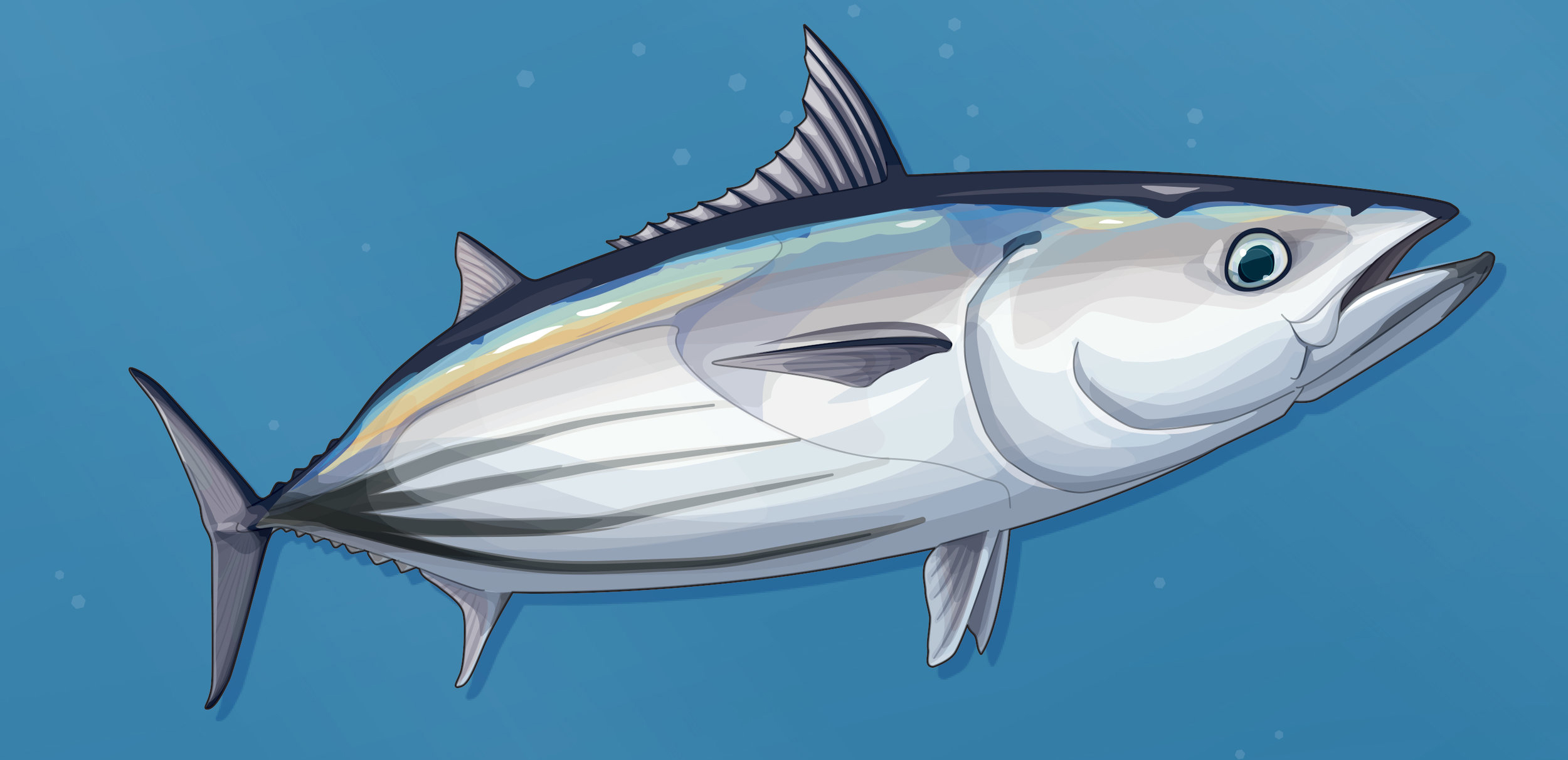 $10 Billion Pacific Skipjack Tuna Fishery Could Soon Be Better ...