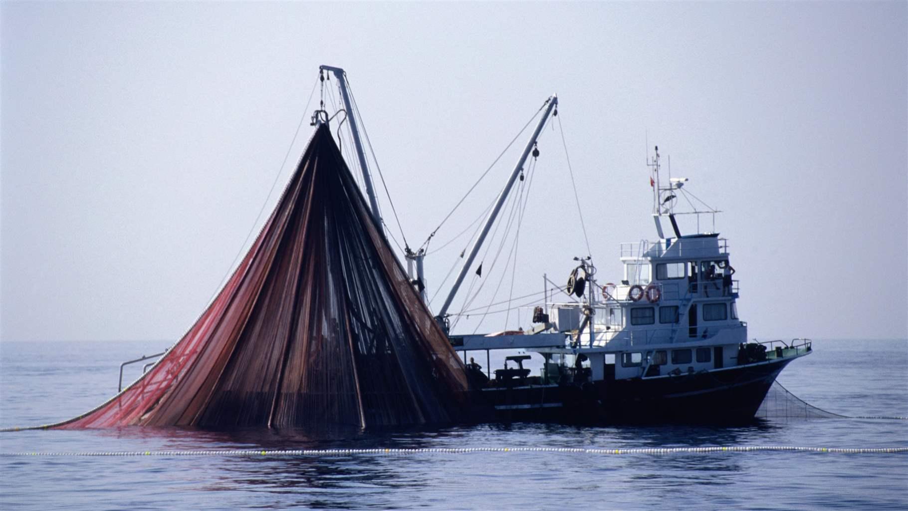 New Recommendations for International Fisheries Bodies Should Boost ...
