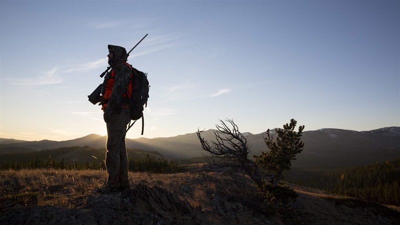How to Conserve Wildlife Migrations in the American West | The Pew ...