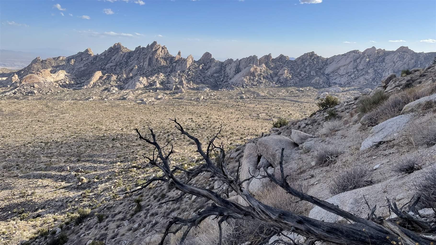 New National Monument in Nevada Would Sustain Indigenous Culture ...