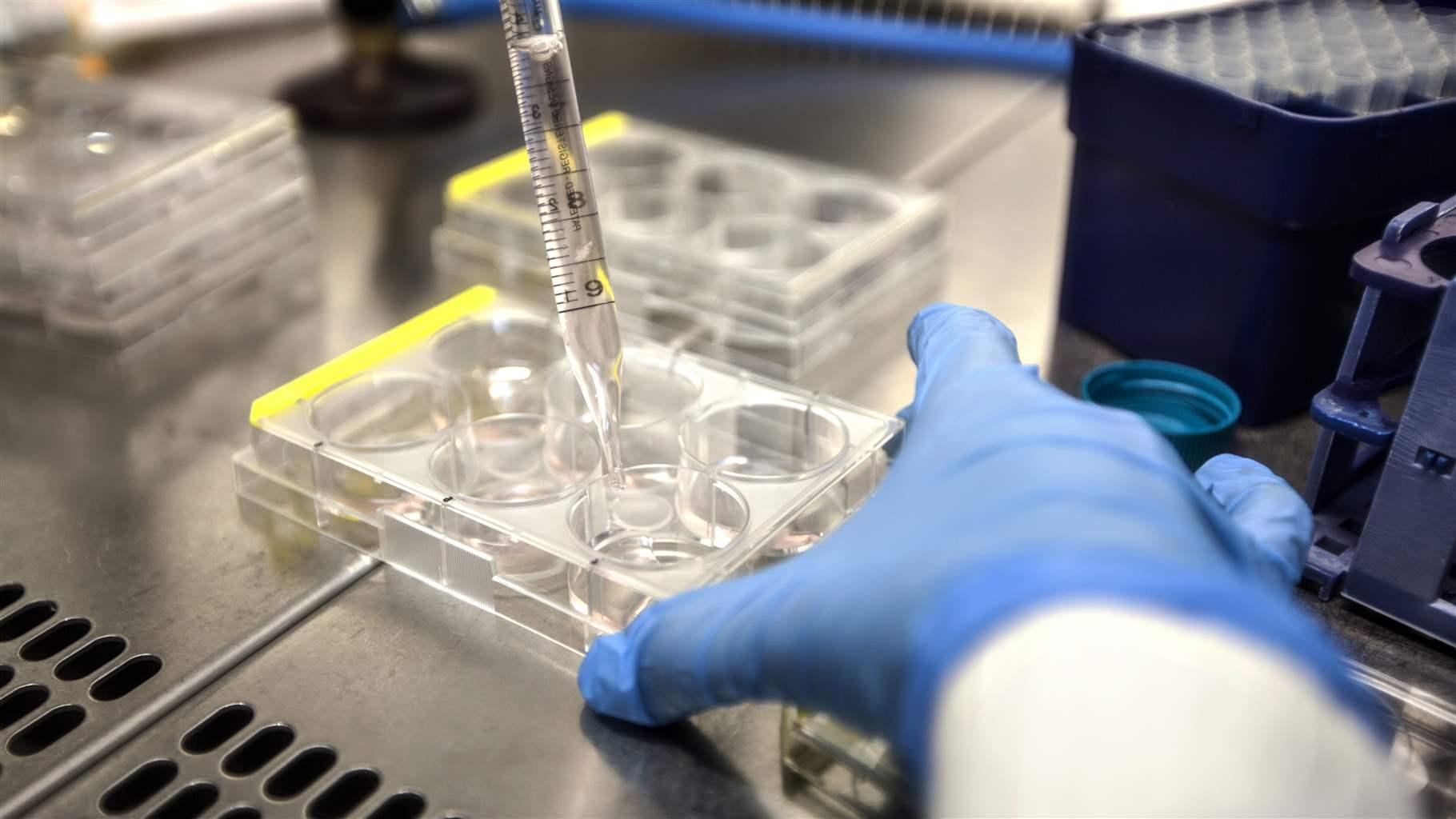 Pew, Patient Groups Urge Congress to Strengthen Oversight of Diagnostic ...