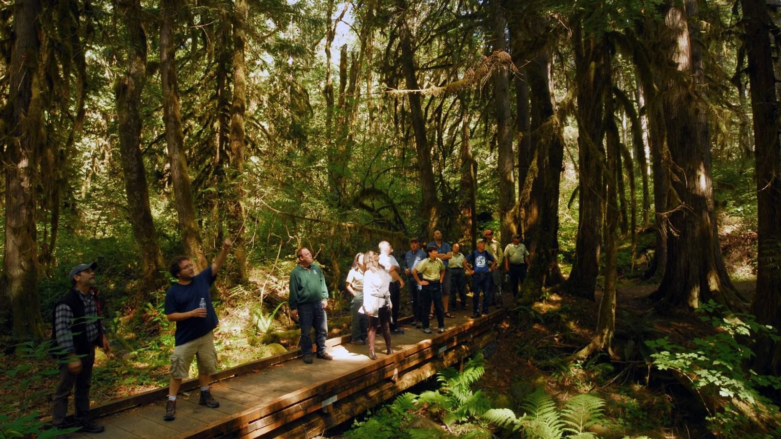 Pacific Northwest 'Forest Collaboratives' Help Communities, Nature, and ...