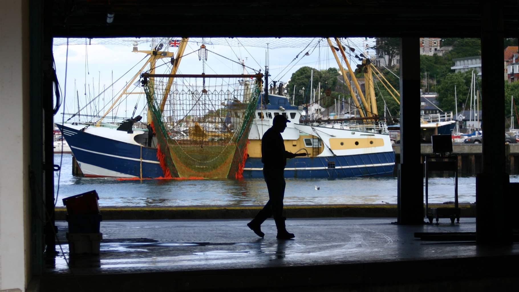 Pew Experts Share How Global Cooperation Improves Fisheries Management ...