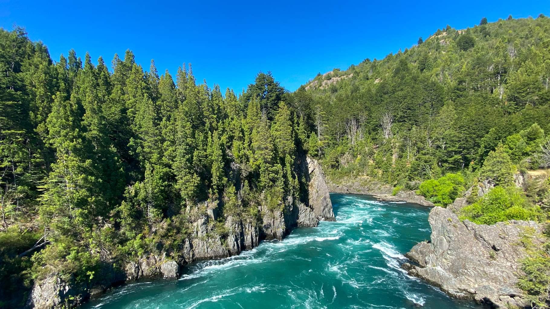 Study Identifies Potential Biodiversity Refuges in Chilean Patagonia ...