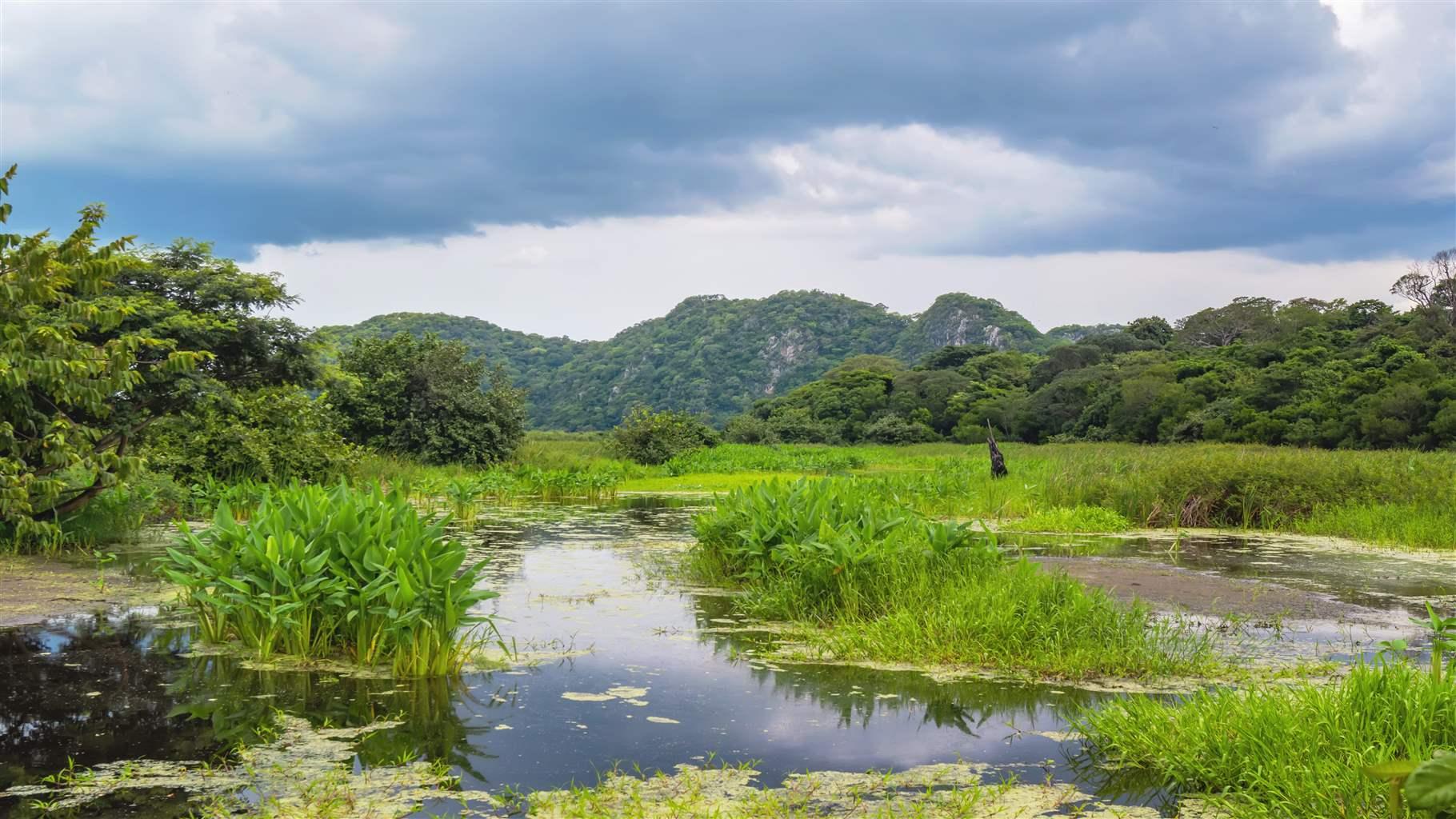 Costa Rica Celebrates World Wetlands Week with the Release of National ...