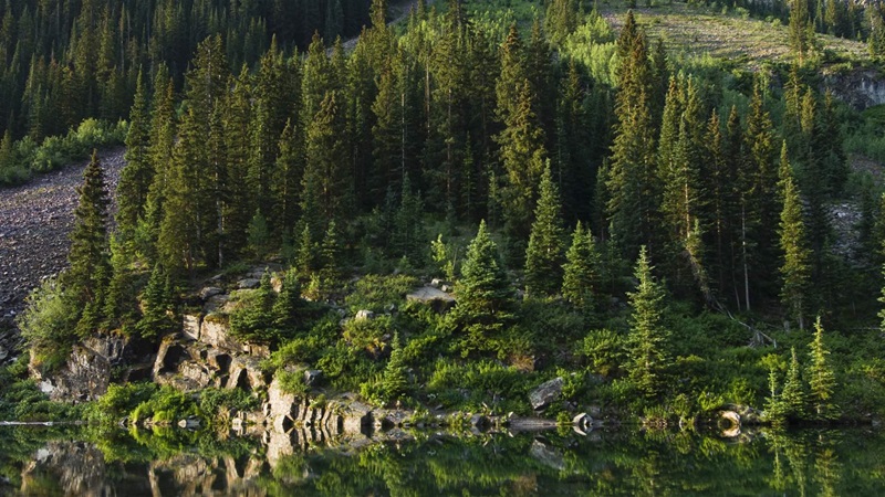Key Unprotected Lands in Colorado National Forests Provide Vital ...