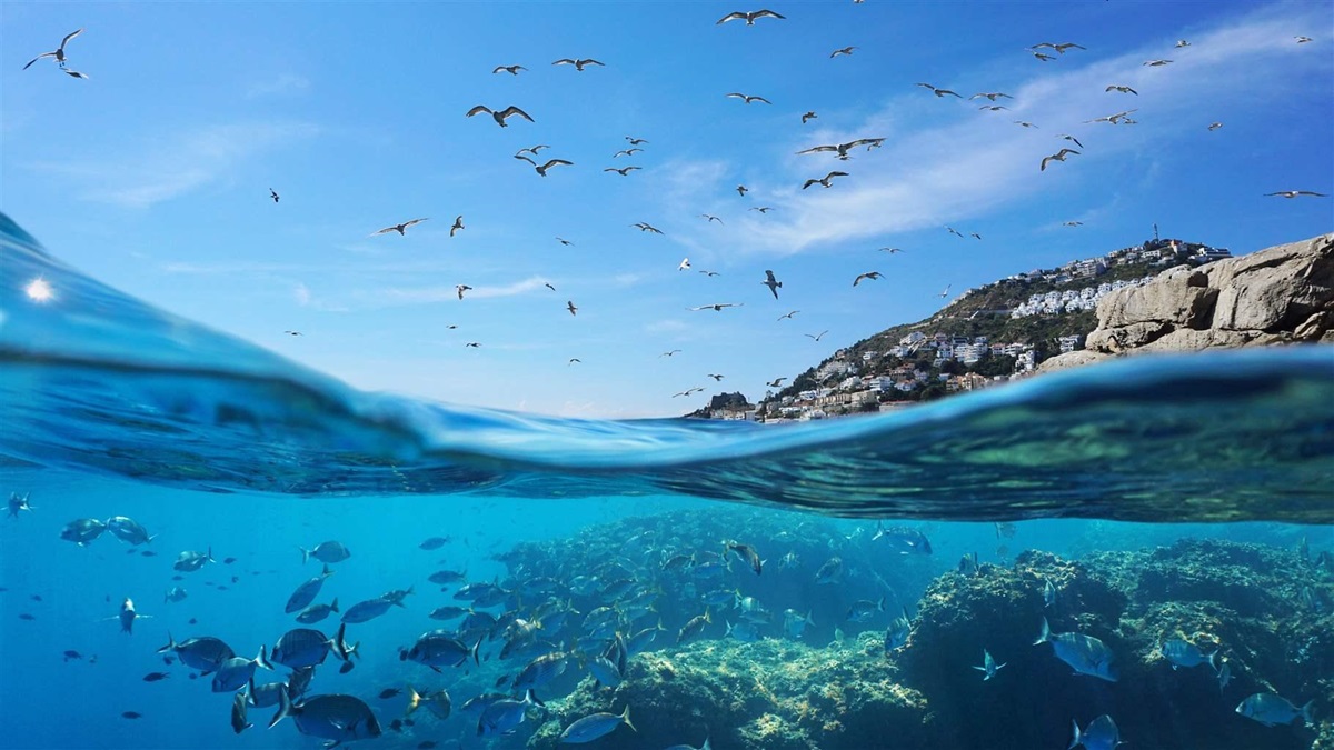 Conserving the Mediterranean Sea | The Pew Charitable Trusts