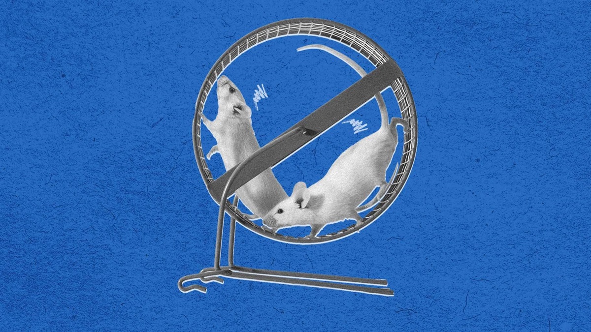 Pew Scholars Study How the Gut Affects Our Motivation to Work Out | The ...