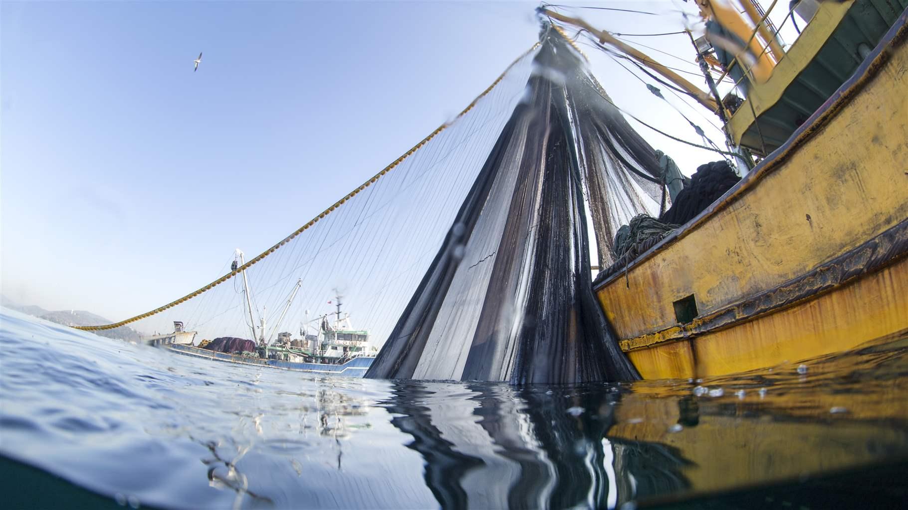 Fisheries Subsidies Agreement: What's the Big Deal? | The Pew ...