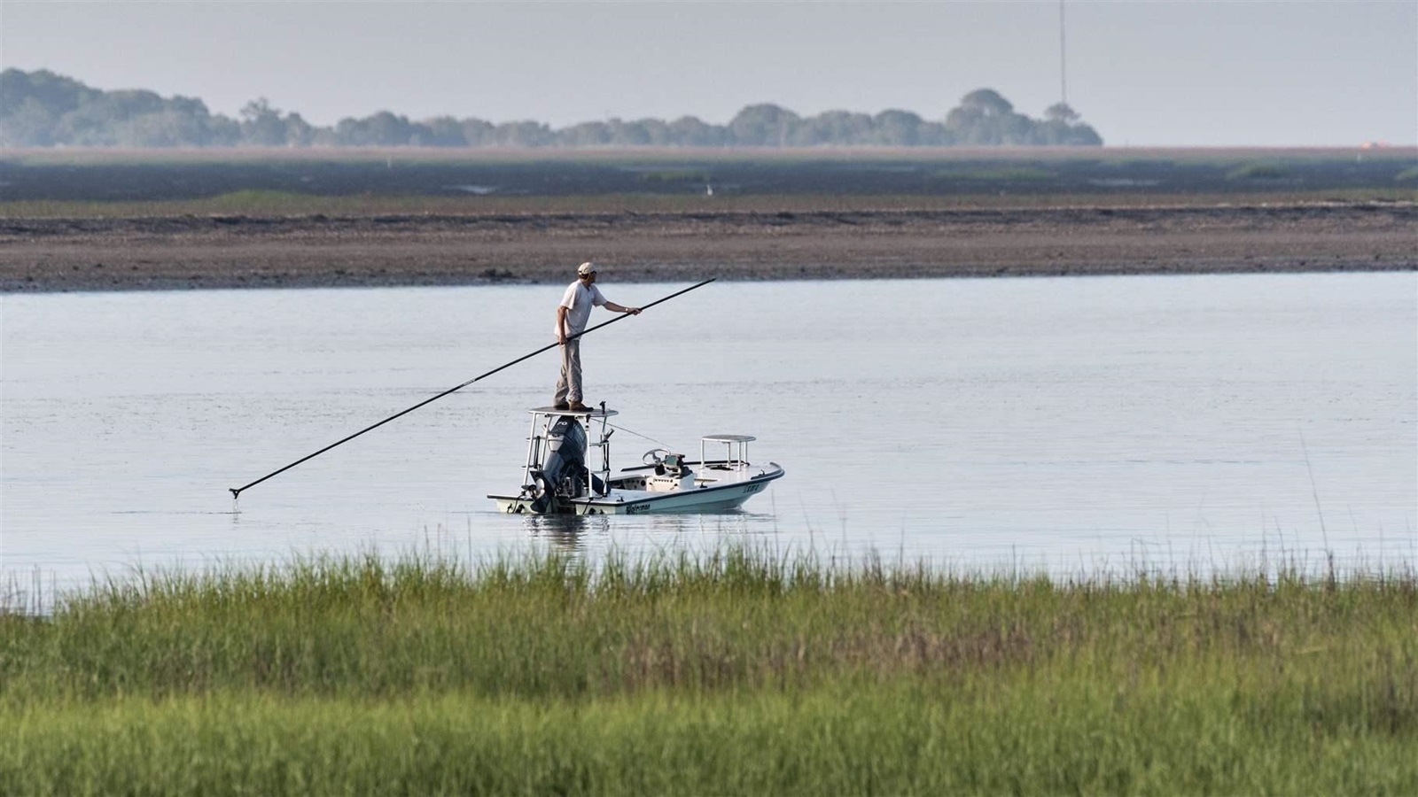 New Plan Would Save Future of 1 Million Acres of Salt Marshes Along ...