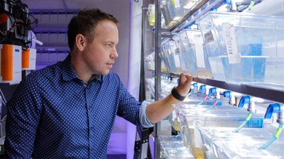 Pew Marine Fellow Harnesses Biomedical Science Techniques to Study ...