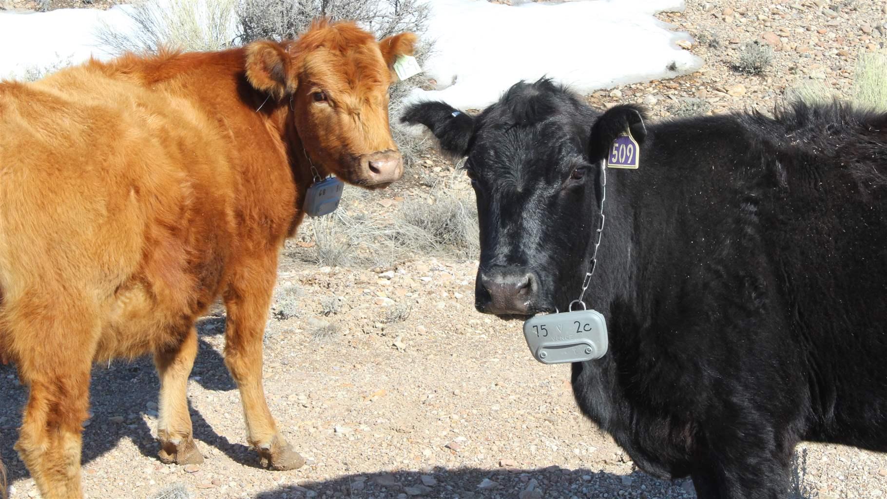 5 Farm Bill Revisions That Would Help Wildlife and Habitat | The Pew ...