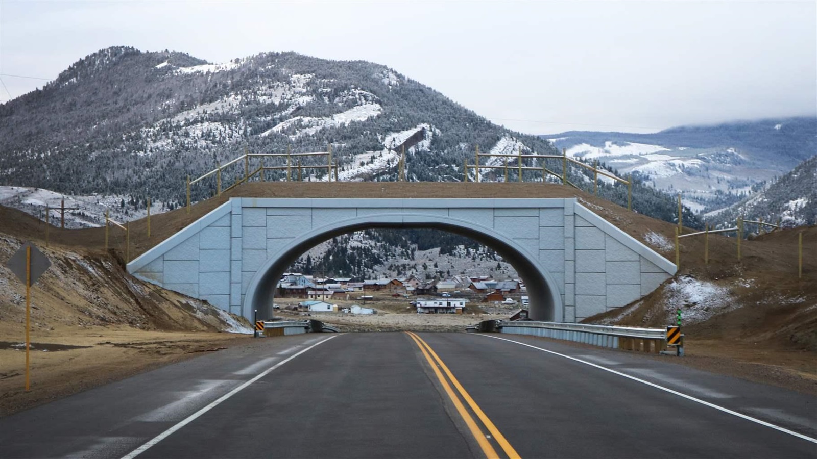 To Reduce Wildlife-Vehicle Collisions on Roads, States Need Dedicated ...