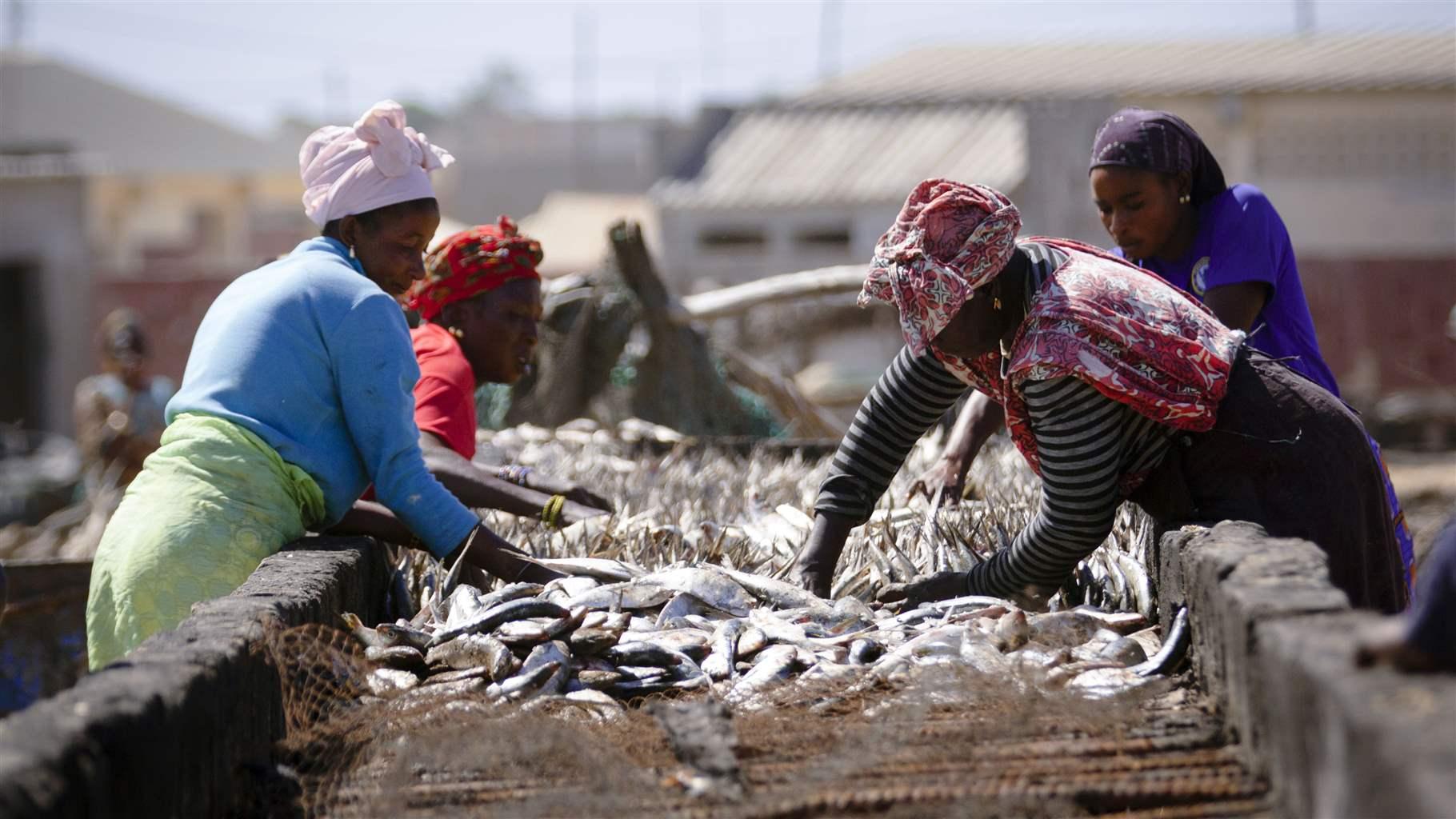 6 Facts You May Not Know About Illegal, Unreported and Unregulated ...