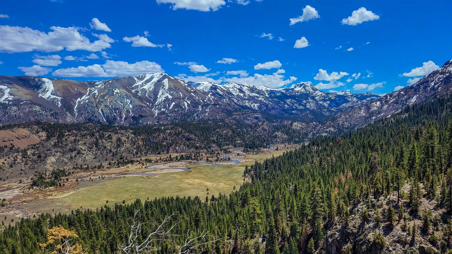 New Research Can Help Support Health of National Forests | The Pew ...