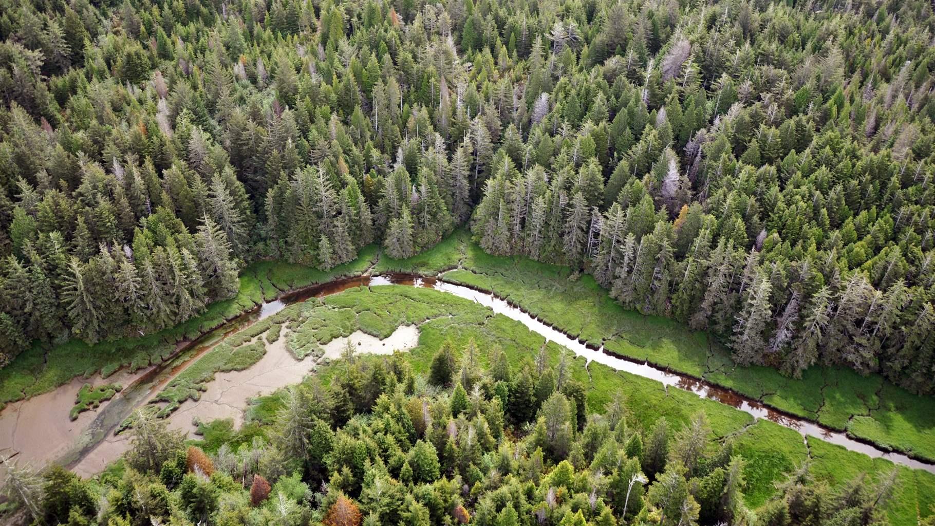 Oregon Elevates Natural and Working Lands to Help Slow Climate Change ...