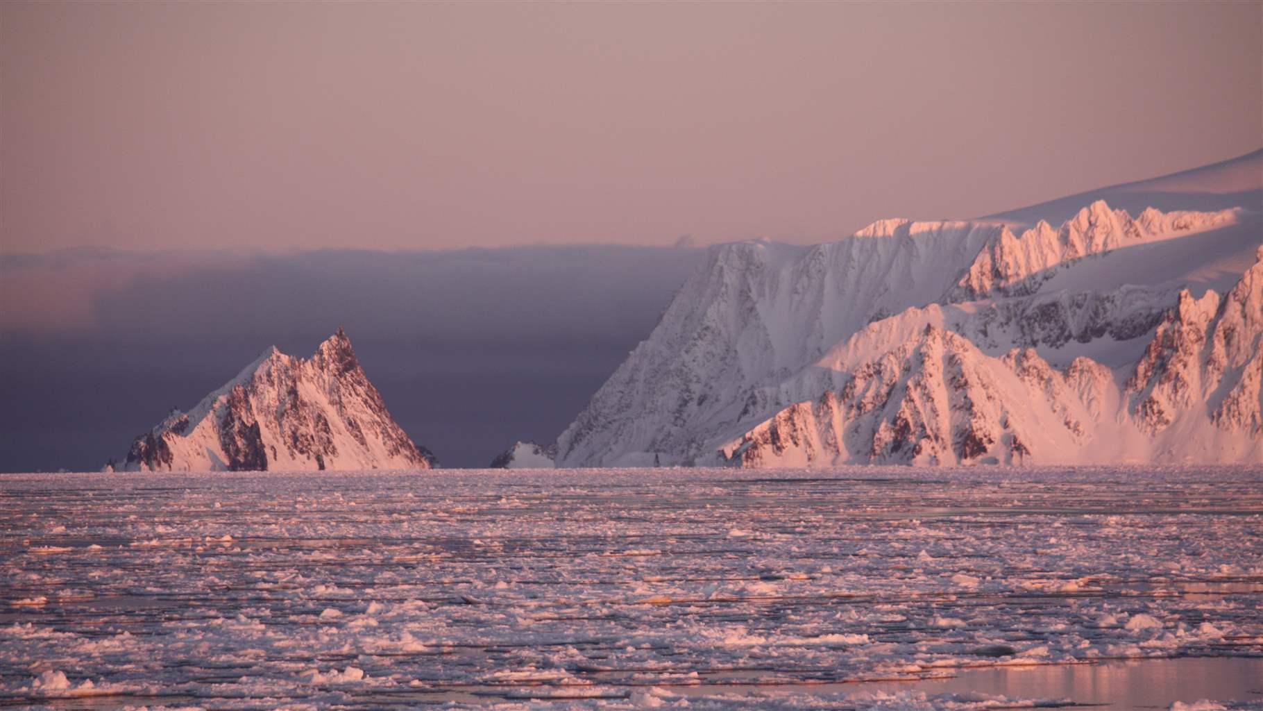 Antarctic Krill Are Her Career—and Her Muse | The Pew Charitable Trusts