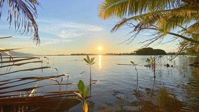 Honduras Takes Key Steps in Ocean and Coastal Conservation | The Pew ...