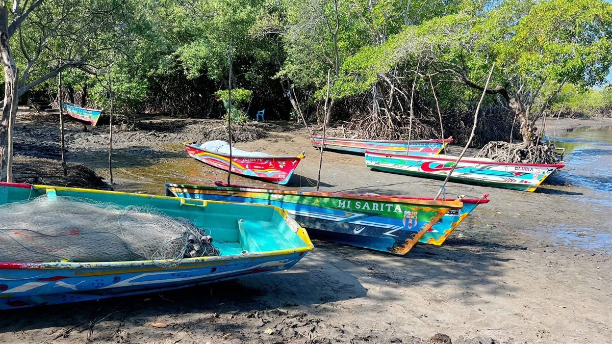 Honduras' Coastal Wetlands: Important for Biodiversity, Climate, and ...