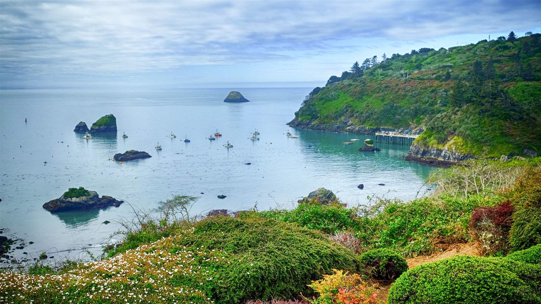 Tribal Nations Designate First U.S. Indigenous Marine Stewardship Area ...