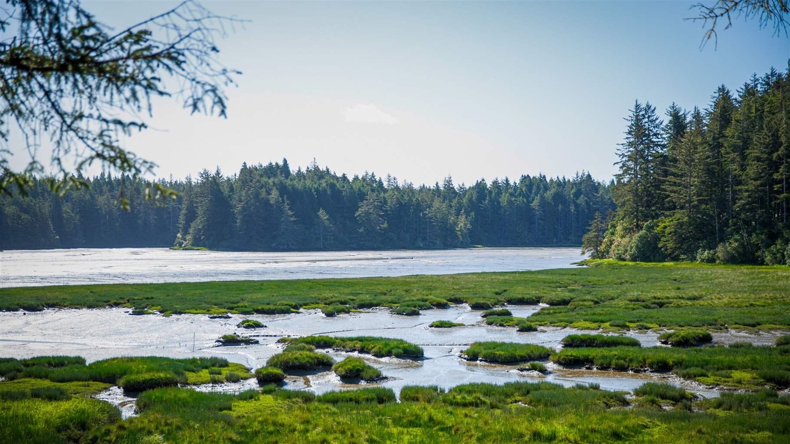 Innovative Mapping Tool Reveals Hidden Wetlands and Enhances ...