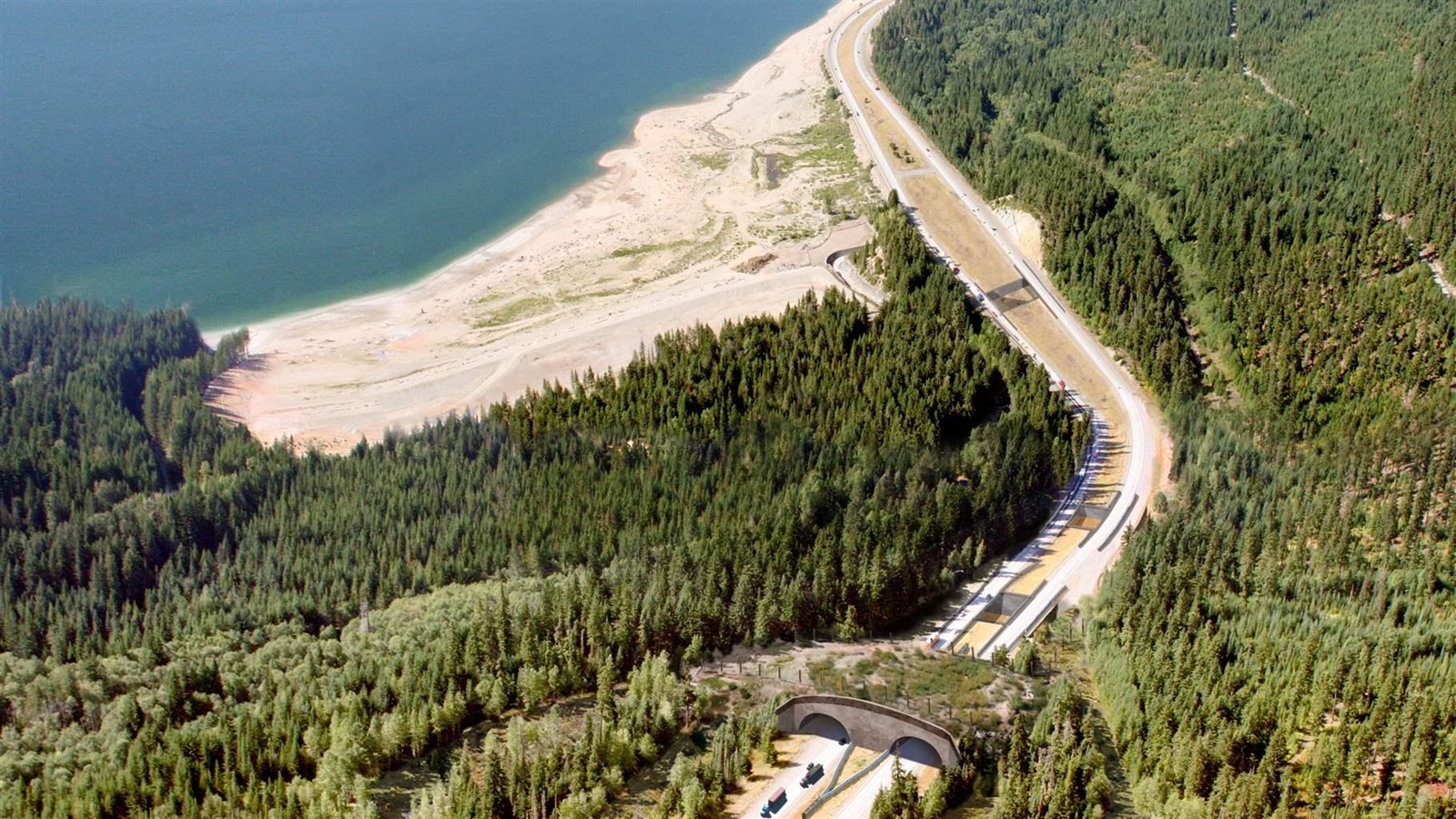 Smart Growth: How Wildlife Corridor Planning Pays Off for Local ...